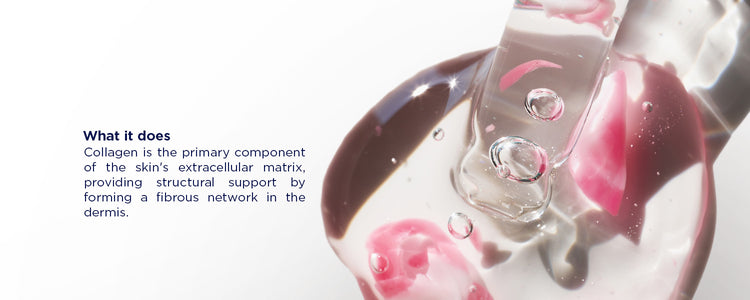 GLOW GOODIES - Collagen Gummies – Goodies Nutrition