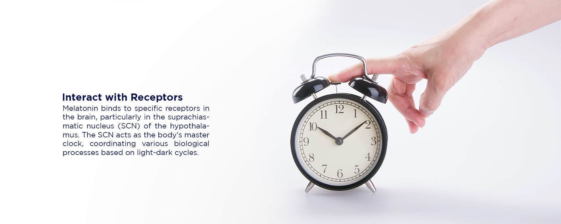 SLEEP GOODIES - Melatonin Gummies – Goodies Nutrition